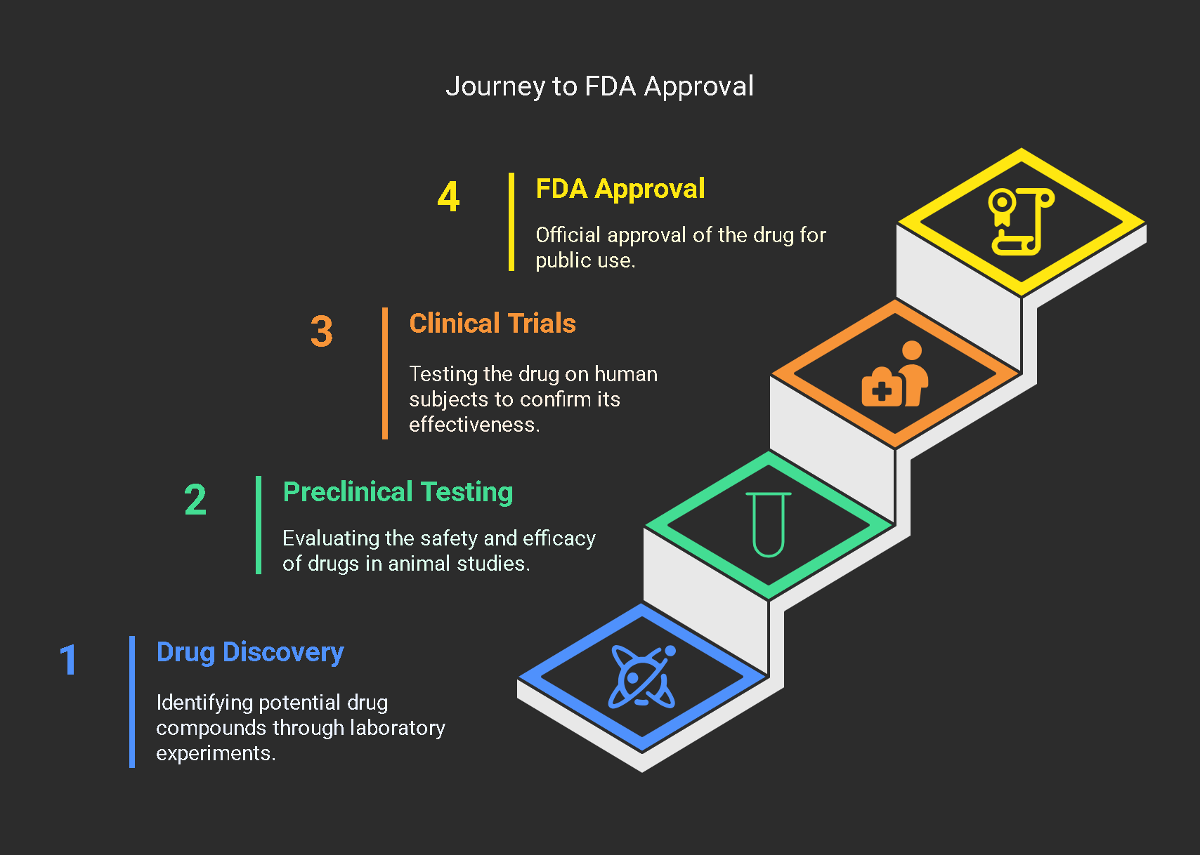 FDA Drug Approval Process